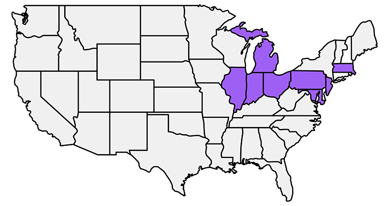 Electricity Company & Natural Gas Provider